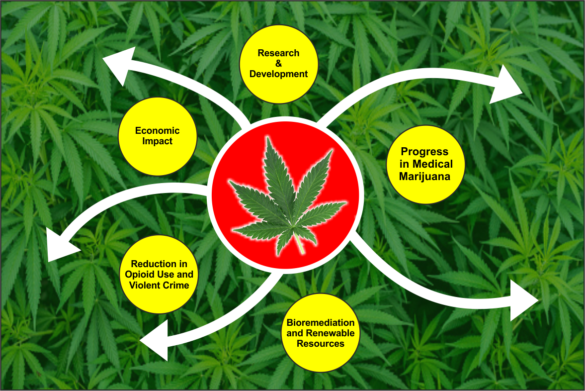 5 Ways In Which Legality Of Marijuana Can Change The Entire World - New ...